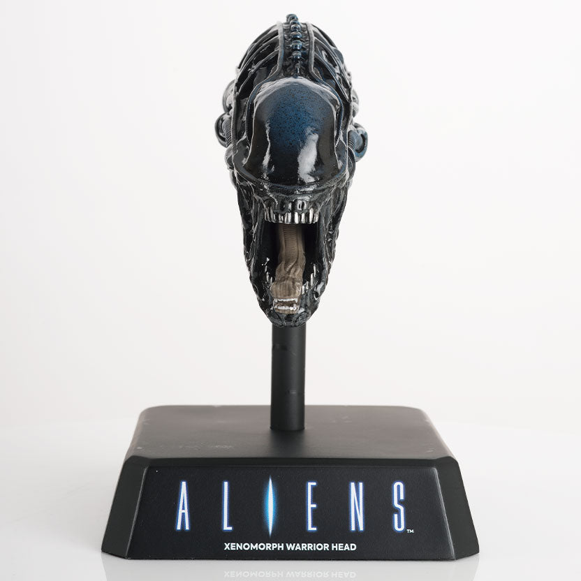 Hero Collector Museum Alien Xenomorph Head – Master Replicas