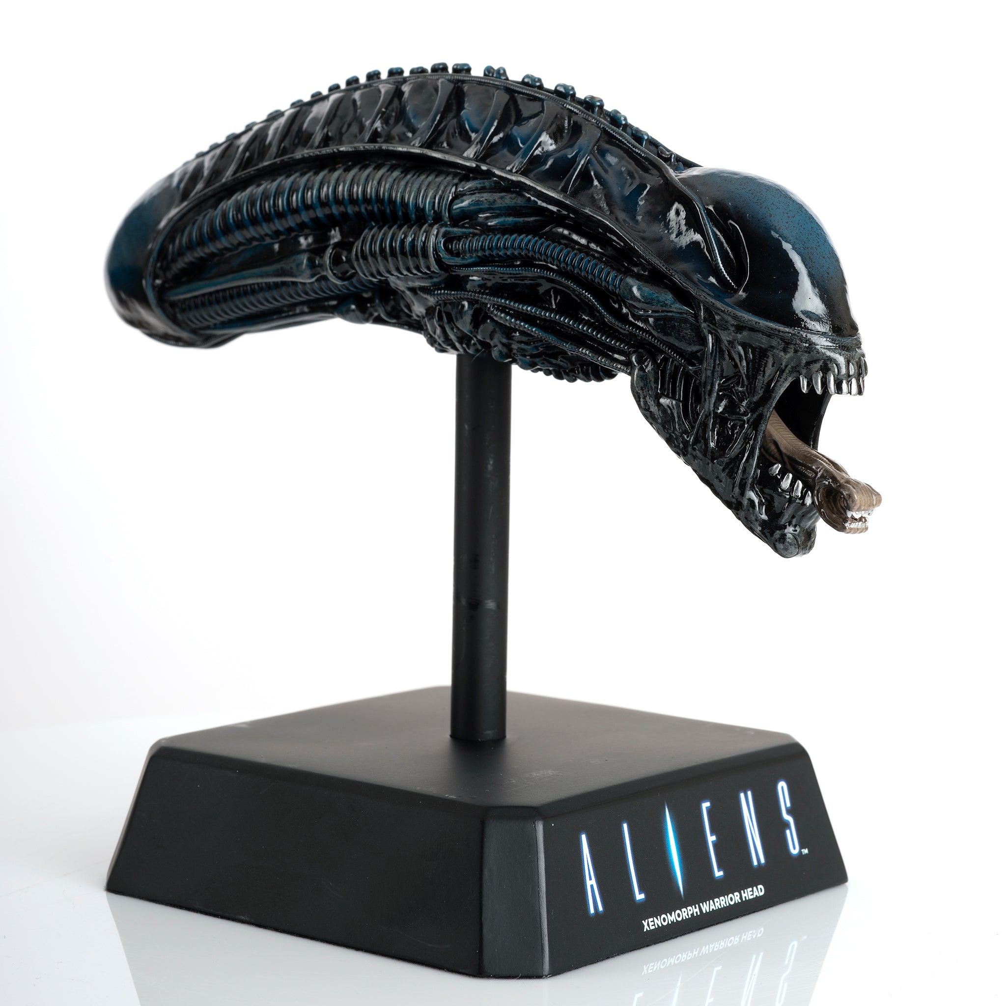 Alien Xenomorph Head (Hero Collector Museum)– Master Replicas